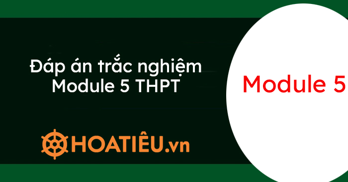 Đáp án trắc nghiệm Module 5 THPT 2025 mới cập nhật - HoaTieu.vn