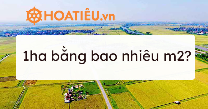 1ha bằng bao nhiêu m2? - 1 ha tương ứng với bao nhiêu m2 - HoaTieu.vn