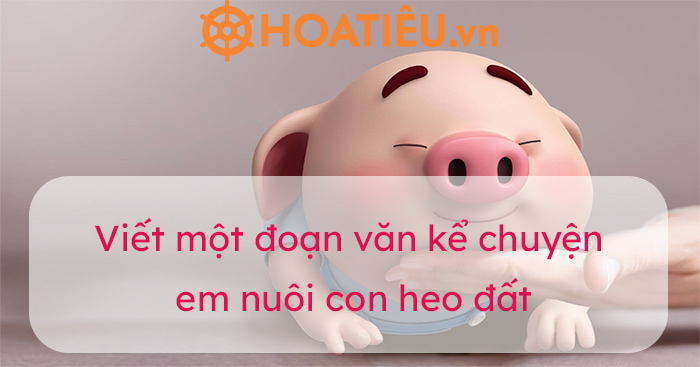 Top 8 Viết một đoạn văn kể chuyện em nuôi con heo đất lớp 3 siêu hay ...