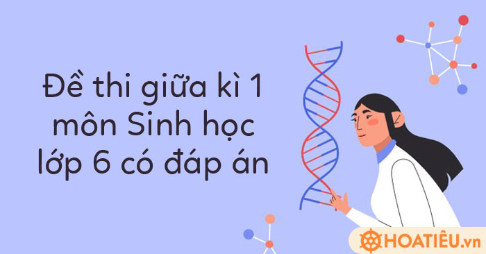 Đề thi giữa kì 1 môn Sinh học lớp 6 có đáp án - HoaTieu.vn