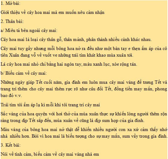 Cảm nghĩ về hoa mai ngày Tết - Cảm nghĩ của em về hoa mai - HoaTieu.vn