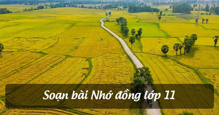 Soạn bài Nhớ đồng lớp 11 ngắn gọn dễ hiểu - Soạn Văn 11 bài Nhớ đồng ...