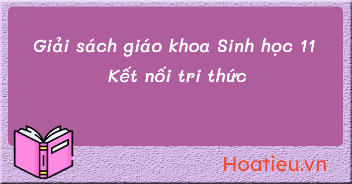 Giải sách giáo khoa Sinh học 11 Kết nối tri thức - HoaTieu.vn