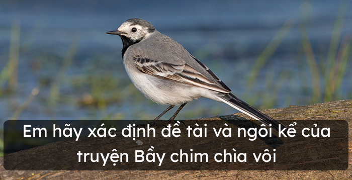 Em hãy xác định đề tài và ngôi kể của truyện Bầy chim chìa vôi
