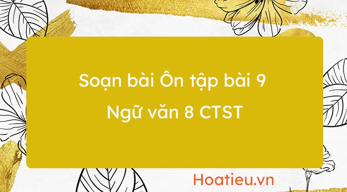 (Chuẩn) Soạn bài Ôn tập lớp 8 trang 98 tập 2 - HoaTieu.vn