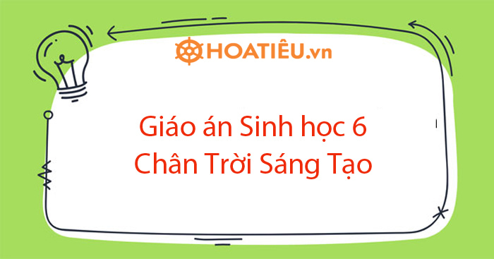 Kế hoạch bài dạy Sinh học 6 Chân trời sáng tạo (Cả năm)