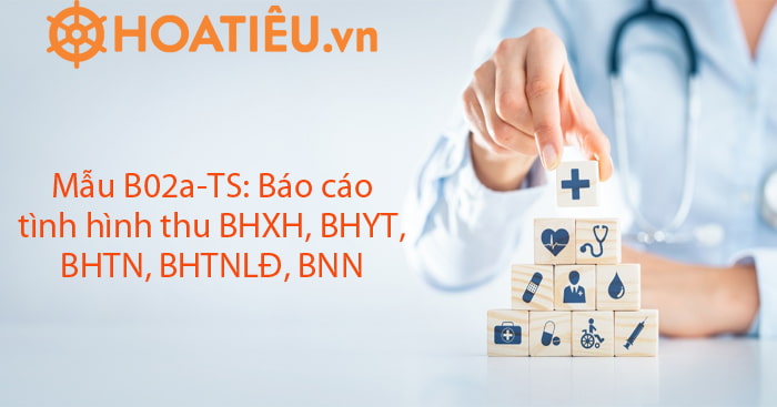Mẫu B02a-TS: Báo cáo tình hình thu BHXH, BHYT, BHTN, BHTNLĐ, BNN mới ...