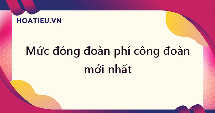 Mức đóng đoàn phí công đoàn mới nhất 2026 - HoaTieu.vn