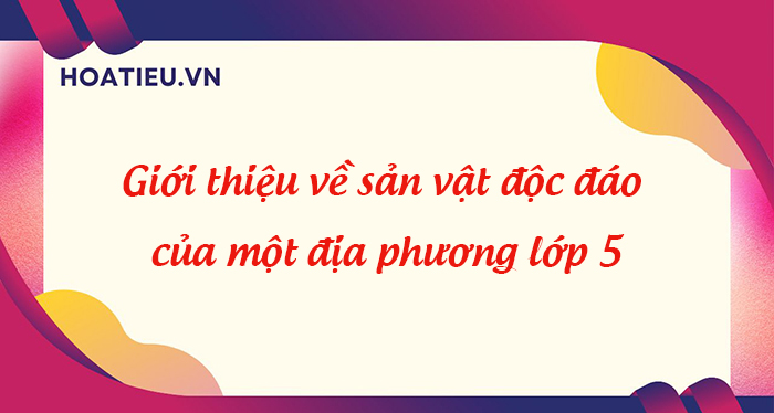 Giới thiệu về sản vật độc đáo của một địa phương lớp 5 - HoaTieu.vn