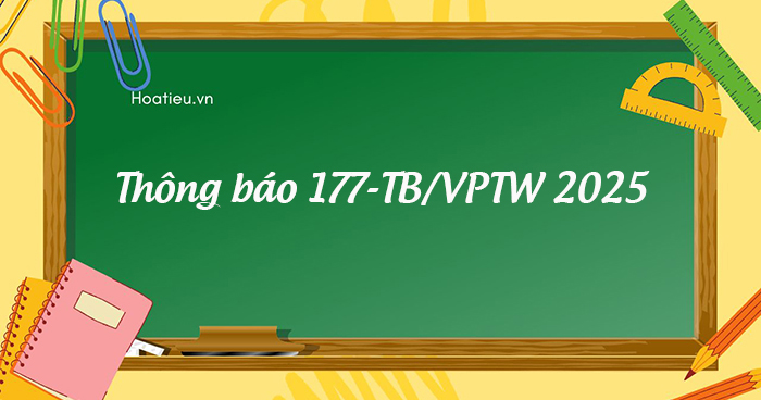 Thông báo 177-TB/VPTW 2025 về dạy học 2 buổi ở Tiểu học, THCS