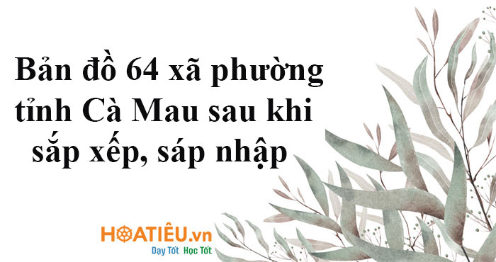 Bản đồ 64 xã phường ở tỉnh Cà Mau sau khi sắp xếp, sáp nhập - HoaTieu.vn