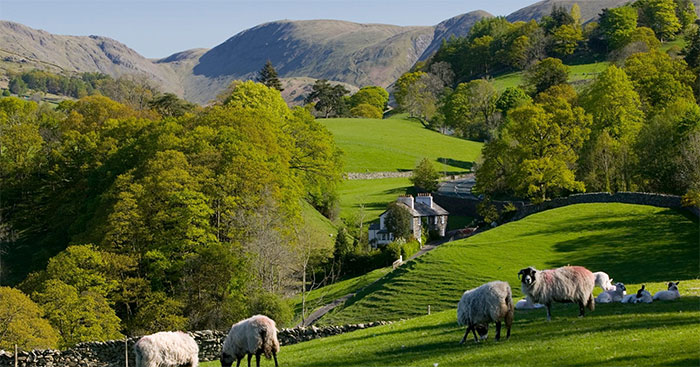 Giáo án Tiếng Anh 8 Unit 2 Skills 1 (PPT + Word)