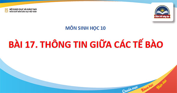 Giáo án điện tử Sinh học 10 CTST Bài 17: Thông tin giữa các tế bào