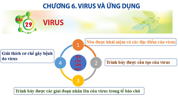 Giáo án điện tử Sinh học 10 CSTS Bài 29: Virus