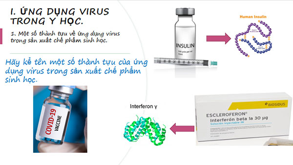 Giáo án điện tử Sinh học 10 CSTS Bài 30: Ứng dụng của virus trong y học và thực tiễn