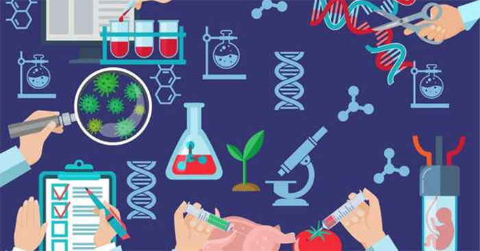 Kế hoạch bài dạy Sinh học 6 Kết nối tri thức (Cả năm)