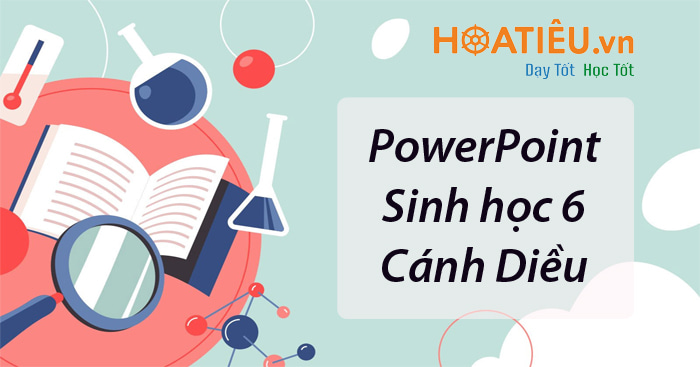 Bài giảng điện tử Sinh học 6 Cánh Diều (Cả năm)