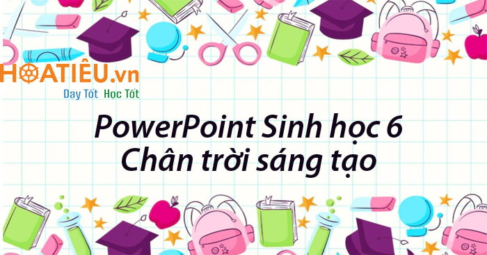 Bài giảng điện tử Sinh học 6 Chân trời sáng tạo (Cả năm)