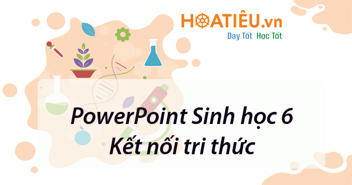 Bài giảng điện tử điện tử Sinh học 6 Kết nối tri thức (Cả năm)