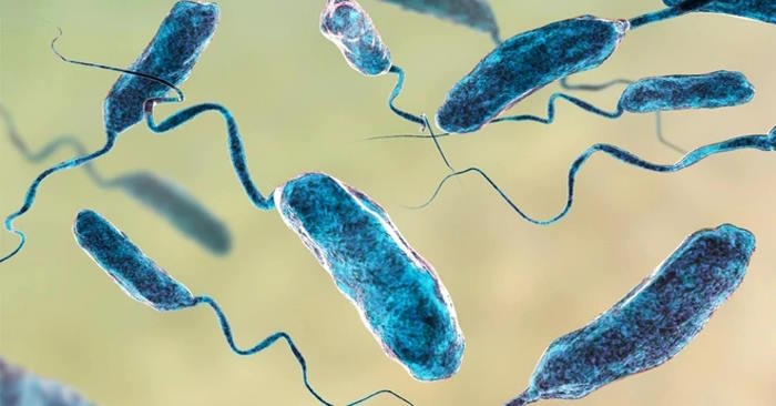 Giáo án tích hợp NLS Sinh học 9 Bài 48